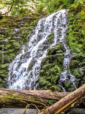 Special Places Middle Santiam Wilderness